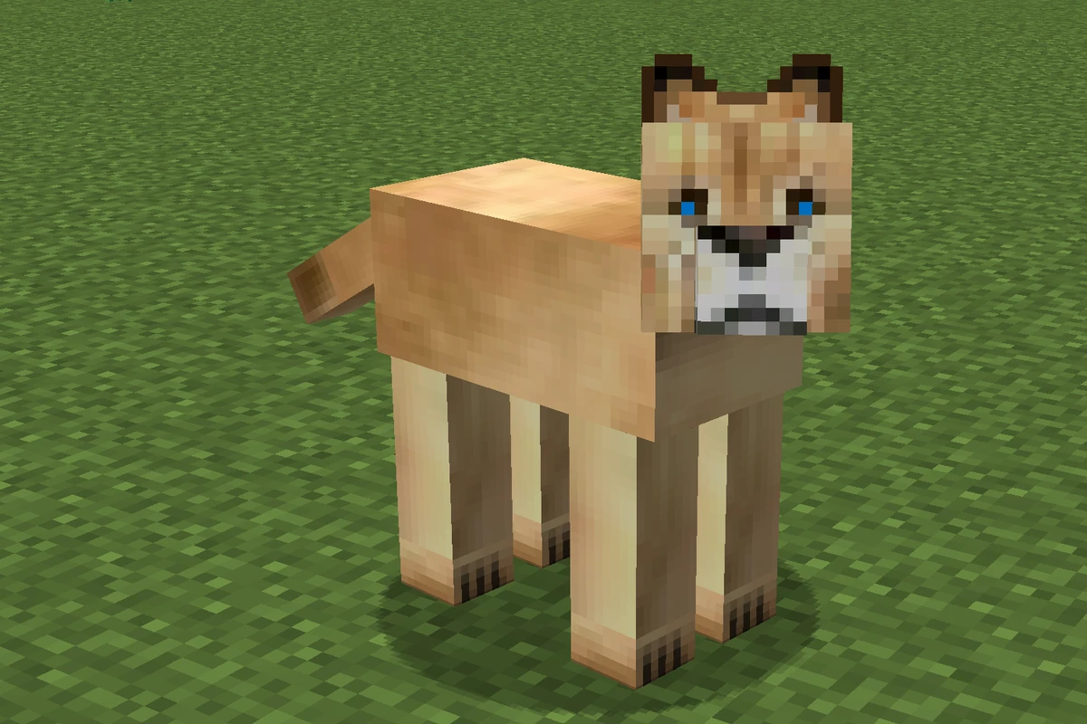 Hildorien Lioness (Animal) | WOTRMC Wiki | Fandom