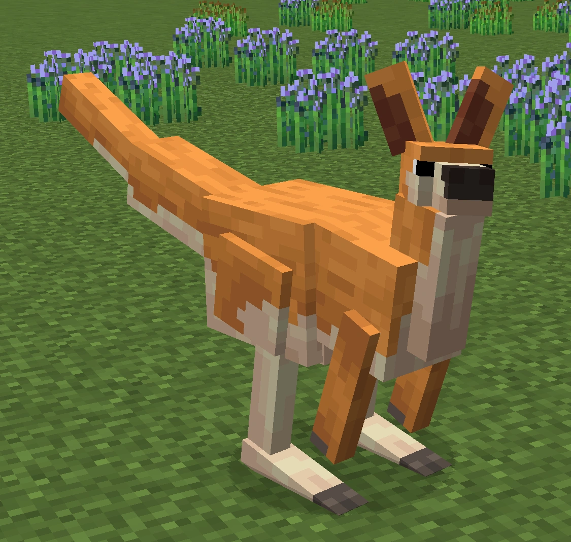 Orange Kangaroo (Animal) | WOTRMC Wiki | Fandom