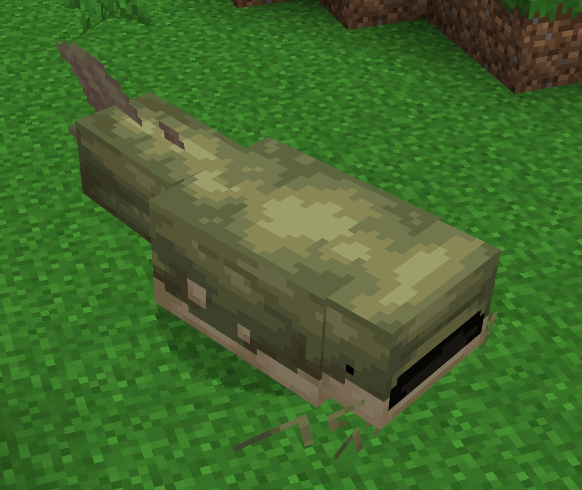Large Catfish (Animal) | WOTRMC Wiki | Fandom