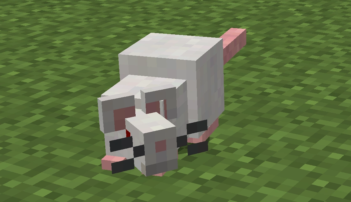 White Rat (Animal) | WOTRMC Wiki | Fandom