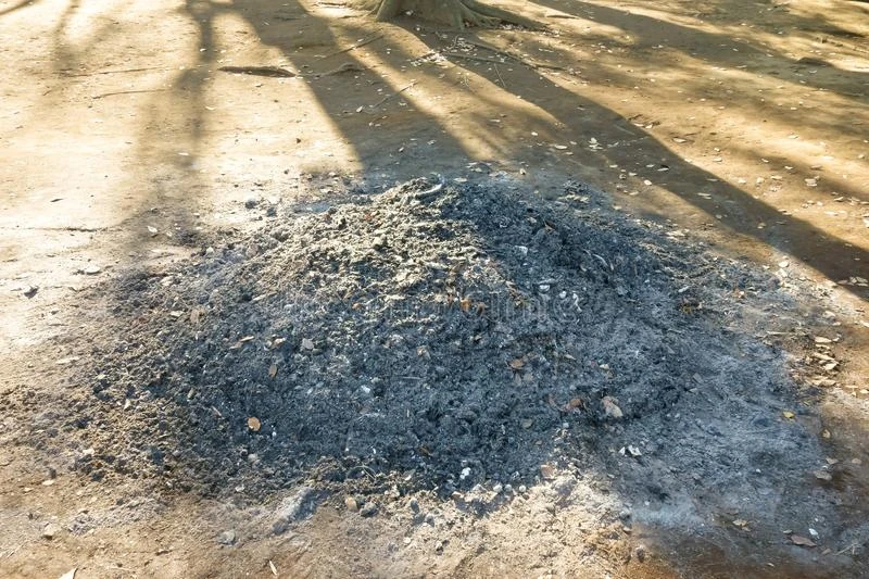 Dura | WoW Champagne Wiki | Fandom