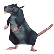 Rat | WikiWoW | Fandom