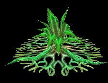 Stranglekelp | World of Warcraft Wiki | Fandom