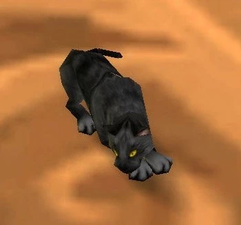 Gato | World of Warcraft Wiki | Fandom