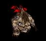 Furbolg | World of Warcraft Wiki | Fandom