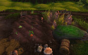 Sunsong Ranch - Wowpedia - Your wiki guide to the World of Warcraft