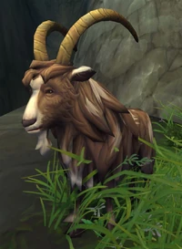 Range Goat - Wowpedia - Your wiki guide to the World of Warcraft