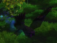 Duskstalker (owl) - Wowpedia - Your wiki guide to the World of Warcraft