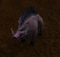 Swine - Wowpedia - Your wiki guide to the World of Warcraft