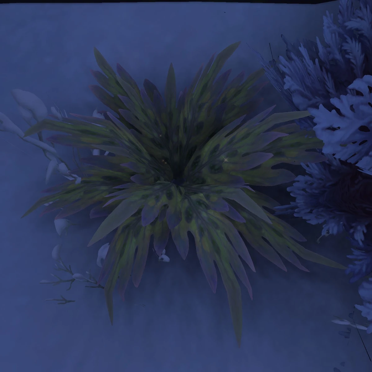 Best-root Tuber - Wowpedia - Your wiki guide to the World of Warcraft