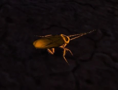 Death's Head Cockroach - Wowpedia - Your wiki guide to the World of Warcraft