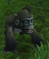Gorilla - Wowpedia - Your wiki guide to the World of Warcraft