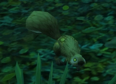Blighted Squirrel - Wowpedia - Your wiki guide to the World of Warcraft