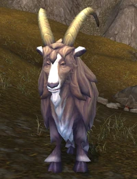 Wild Mountain Goat - Wowpedia - Your wiki guide to the World of Warcraft