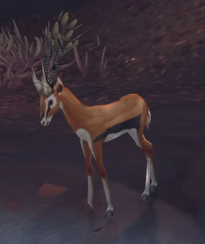 Ambermane Fawn - Wowpedia - Your wiki guide to the World of Warcraft