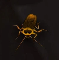 Cockroach - Wowpedia - Your wiki guide to the World of Warcraft