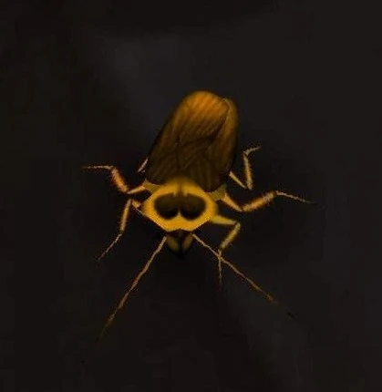 Cockroach - Wowpedia - Your wiki guide to the World of Warcraft