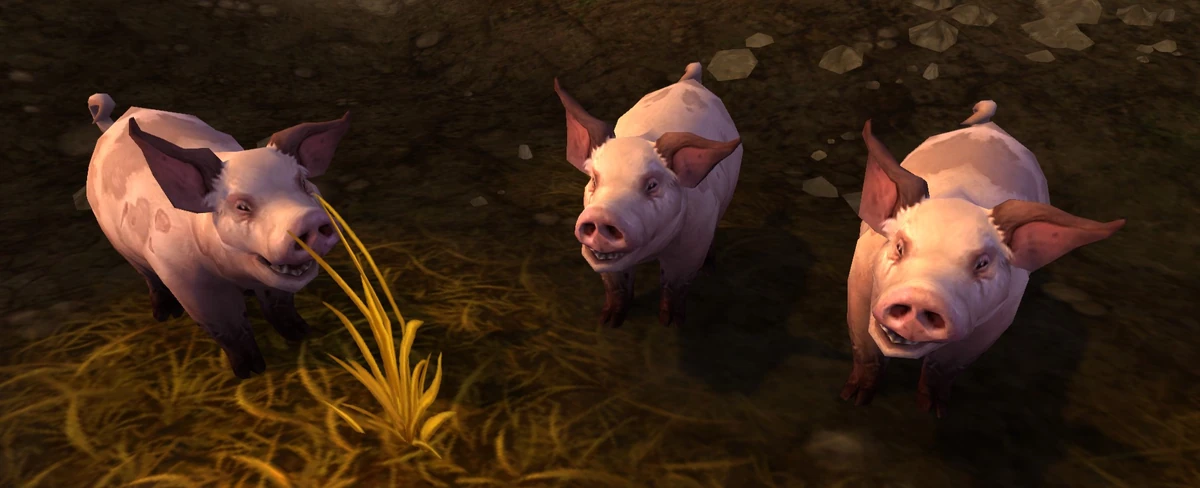 Thunderfoot Pig - Wowpedia - Your wiki guide to the World of Warcraft