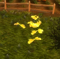 Butterflies - Wowpedia - Your wiki guide to the World of Warcraft