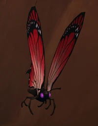 Tiny Butterfly - Wowpedia - Your wiki guide to the World of Warcraft