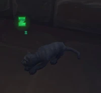 Bat (cat) - Wowpedia - Your wiki guide to the World of Warcraft