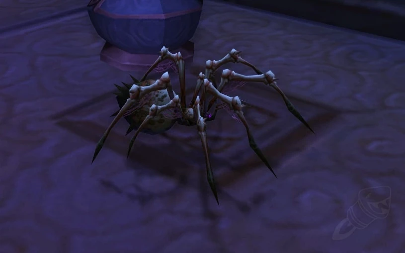 Bone Spider (critter) - Wowpedia - Your wiki guide to the World of Warcraft
