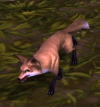 Llothien Kit - Wowpedia - Your wiki guide to the World of Warcraft