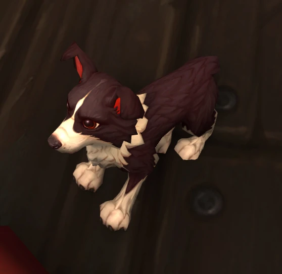 Gizmo (dog) - Wowpedia - Your wiki guide to the World of Warcraft