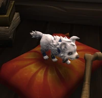 Ruby (wolf) - Wowpedia - Your wiki guide to the World of Warcraft