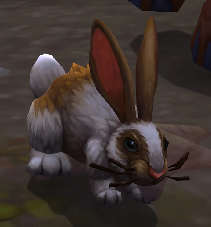 Anya (rabbit) - Wowpedia - Your wiki guide to the World of Warcraft