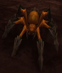 Screeching Spiderling - Wowpedia - Your wiki guide to the World of Warcraft