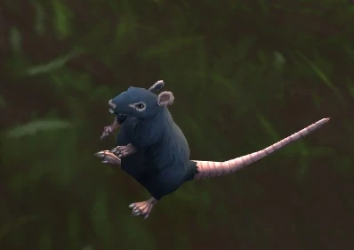 Soggy Rat - Wowpedia - Your wiki guide to the World of Warcraft