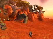Durotar (Classic) - Wowpedia - Your wiki guide to the World of Warcraft