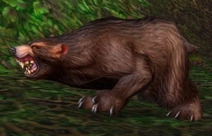 Ashenvale Bear - Wowpedia - Your wiki guide to the World of Warcraft