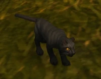 Kitty - Wowpedia - Your wiki guide to the World of Warcraft