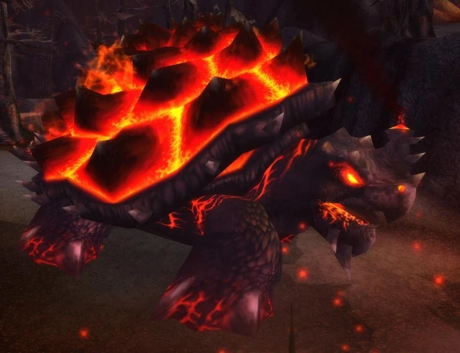 Turtle on fire? : r/Paranormal