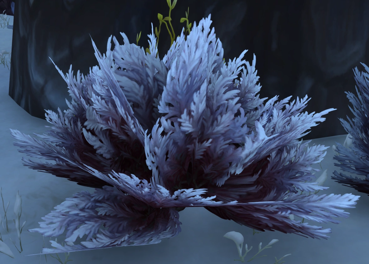 Ripe Cuppressa - Wowpedia - Your wiki guide to the World of Warcraft