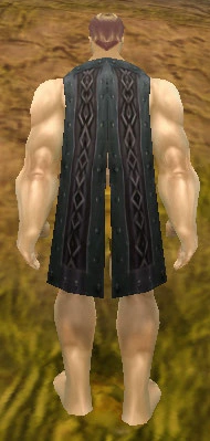 Wicked Chain Cloak - Wowpedia - Your wiki guide to the World of Warcraft