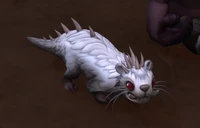 Ottuk Pup - Wowpedia - Your wiki guide to the World of Warcraft