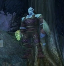 Vision of the Prophesied Hero - Wowpedia - Your wiki guide to the World ...