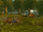 Elwynn Forest (Classic) - Wowpedia - Your wiki guide to the World of ...