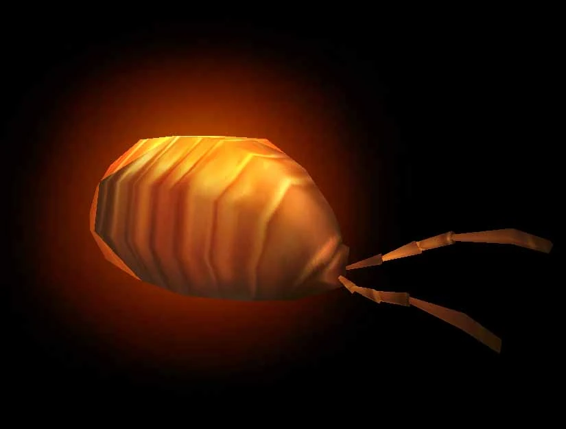 Silithid Pill Bug Wowpedia Your Wiki Guide To The World Of Warcraft