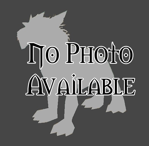 Dreadhound (Revendreth) - Wowpedia - Your wiki guide to the World of ... Dreadhound (Revendreth) - Wowpedia - Your wiki guide to the World of ...
