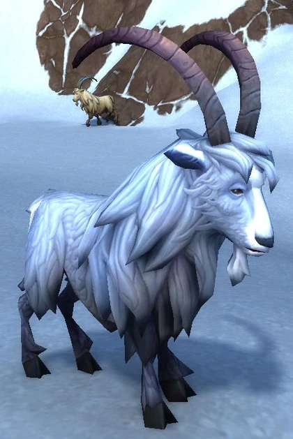 Kafi - Wowpedia - Your wiki guide to the World of Warcraft