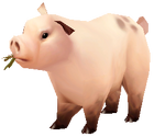 Pig - Wowpedia - Your wiki guide to the World of Warcraft