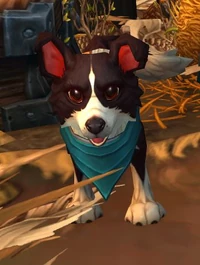 Polly (dog) - Wowpedia - Your wiki guide to the World of Warcraft