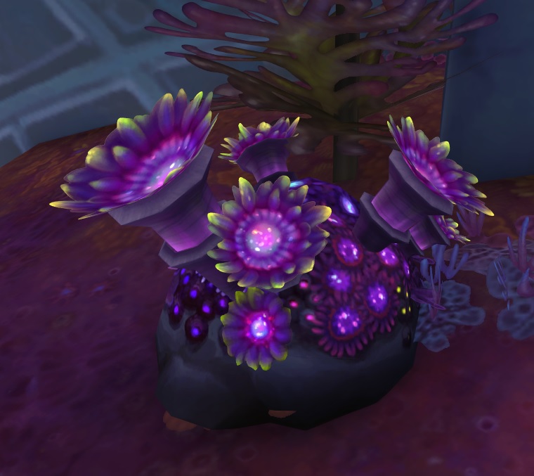 Zin'anthid - Wowpedia - Your wiki guide to the World of Warcraft Zin'anthid - Wowpedia - Your wiki guide to the World of Warcraft