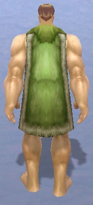 Forest Cloak - Wowpedia - Your wiki guide to the World of Warcraft