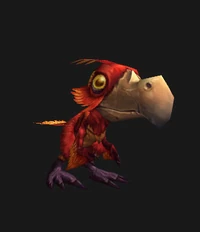 Hatchling - Wowpedia - Your wiki guide to the World of Warcraft