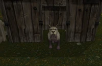 Snuffles - Wowpedia - Your wiki guide to the World of Warcraft